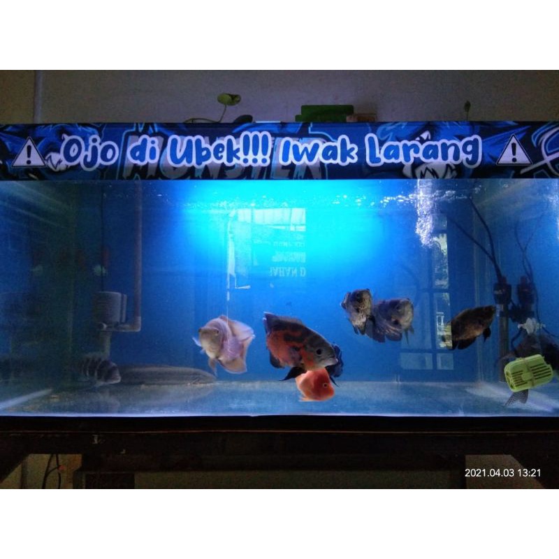 Jual Sticker aquarium/sticker tank/sticker tank predator/sticker tank ...