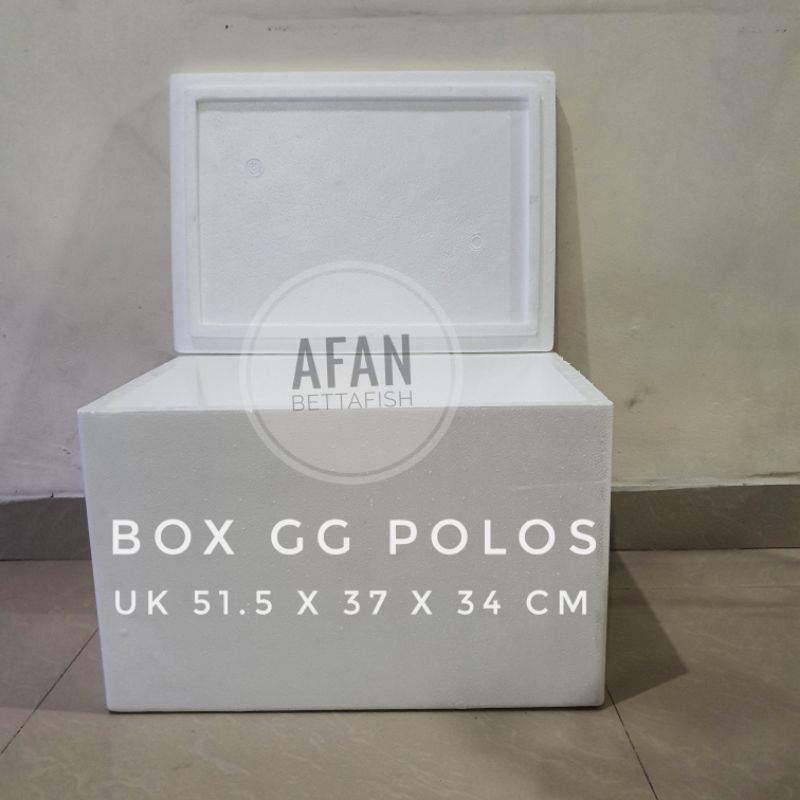 Jual Styrofoam Box GG Polos / Sterefoam Box Ikan / Sterefom Gabus ...