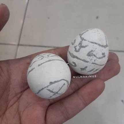 Jual batu posil telur unik sowang putih kocok bunyi | Shopee Indonesia