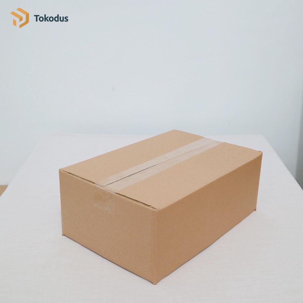 Jual Kardus Box Polos Packing 25 x 15 x 8cm Coklat (Bisa Custom ...