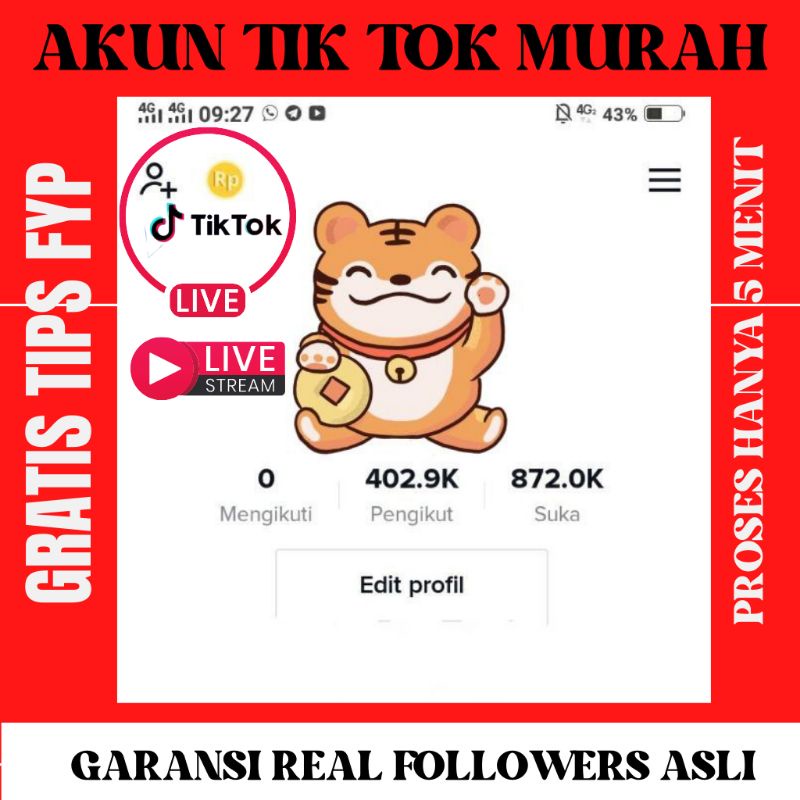 Jual JUAL AKUN T 1 K T 0 K MURAH FOLLOWERS REAL INDONESIA I BISA LIVE STREAMING | Shopee Indonesia