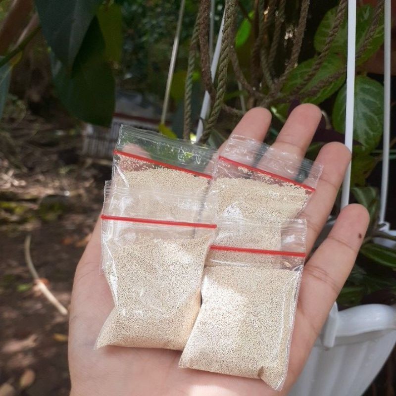 Jual Fermipan Ragi Instan Pakmaya kemasan 5g | Shopee Indonesia