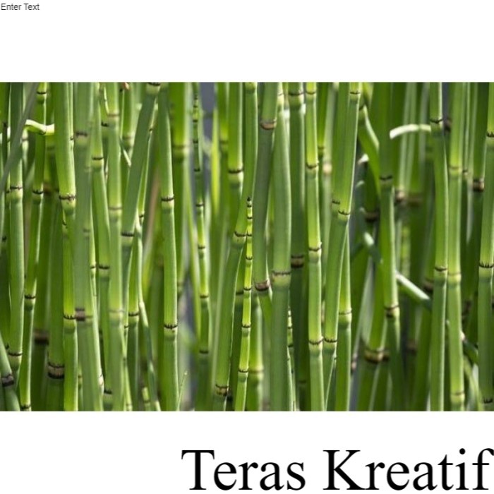 Jual Bambu Air Hutan Mini#Equisetum Hyemale L. ; Tanaman & Bunga ...