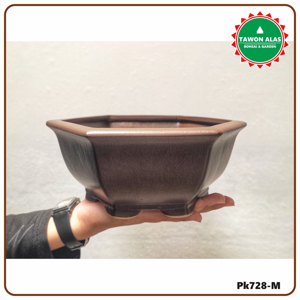 Jual POT KERAMIK BONSAI Mame Mini Segi Enam Sukulen Kaktus | Tawon Alas ...