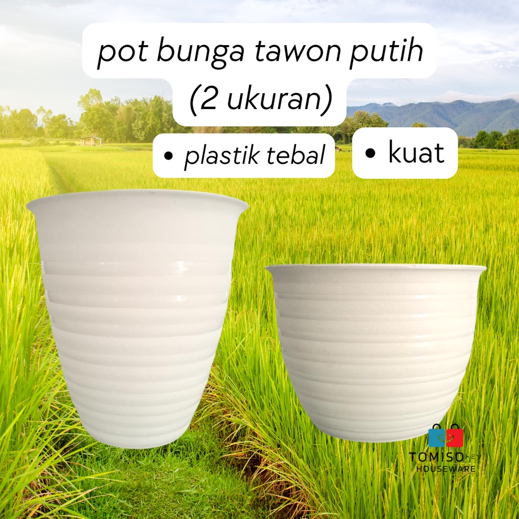 Jual Pot Bunga Tawon Putih 2 Ukuran Pendek & Tinggi Pot Tanaman Pot ...