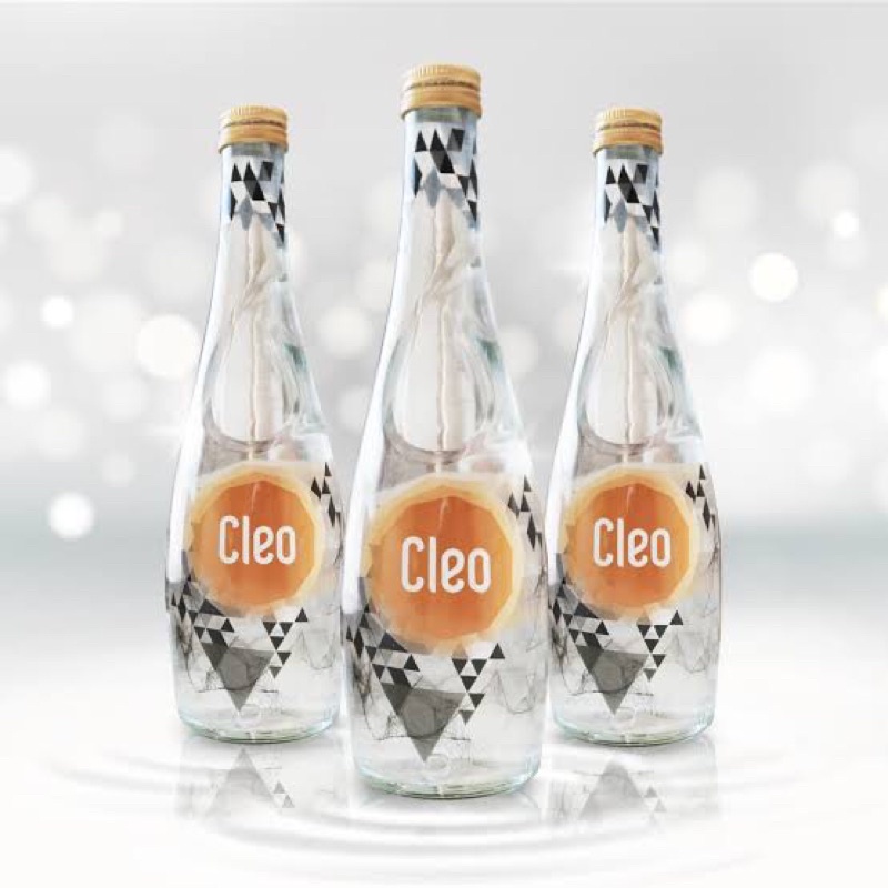 Jual cleo platine natural mineral water 380ml x 12botol (karton) | Shopee Indonesia