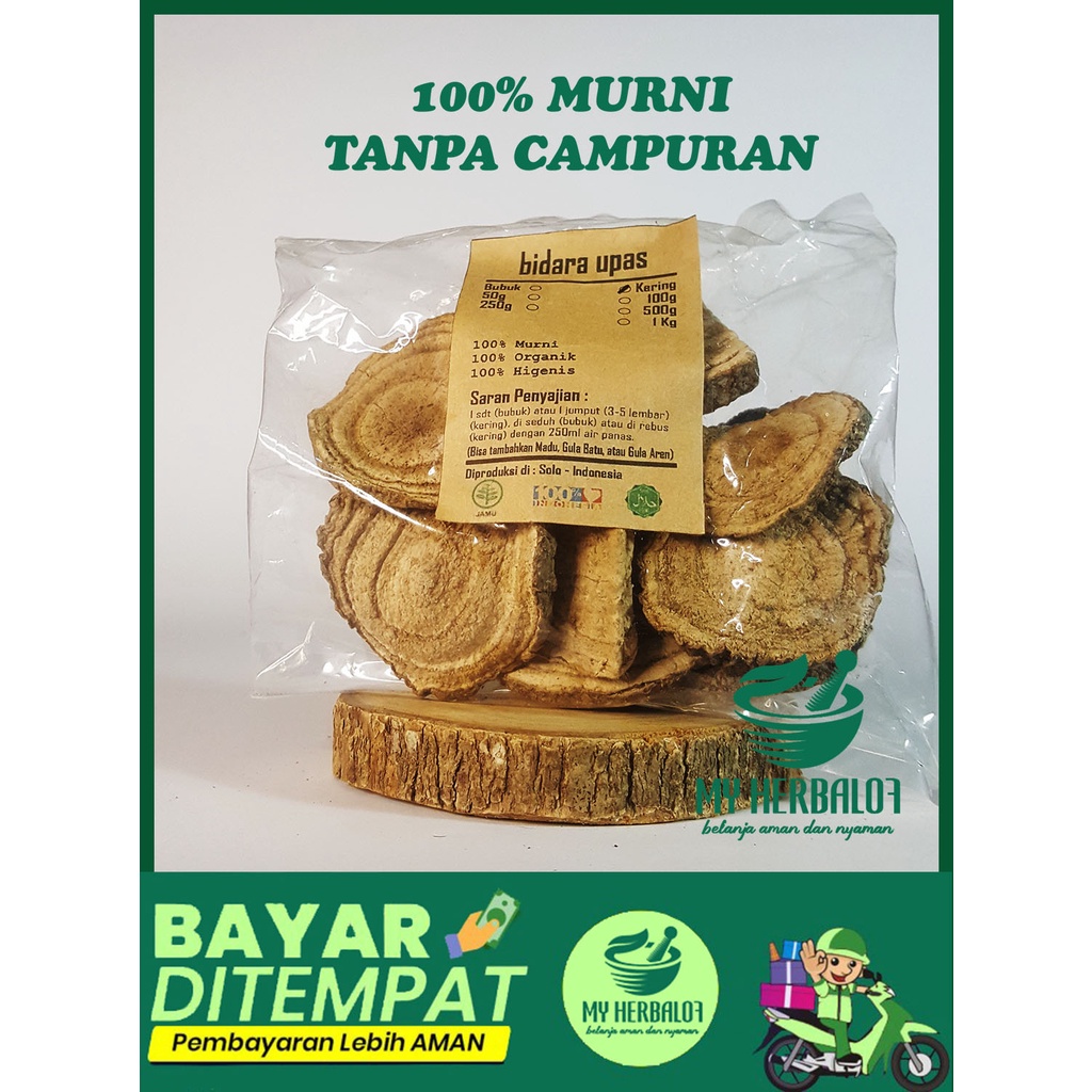 Jual Herbal Bidara Upas Kering / Merremia Mammosa / Umbi Widoro / Murni ...