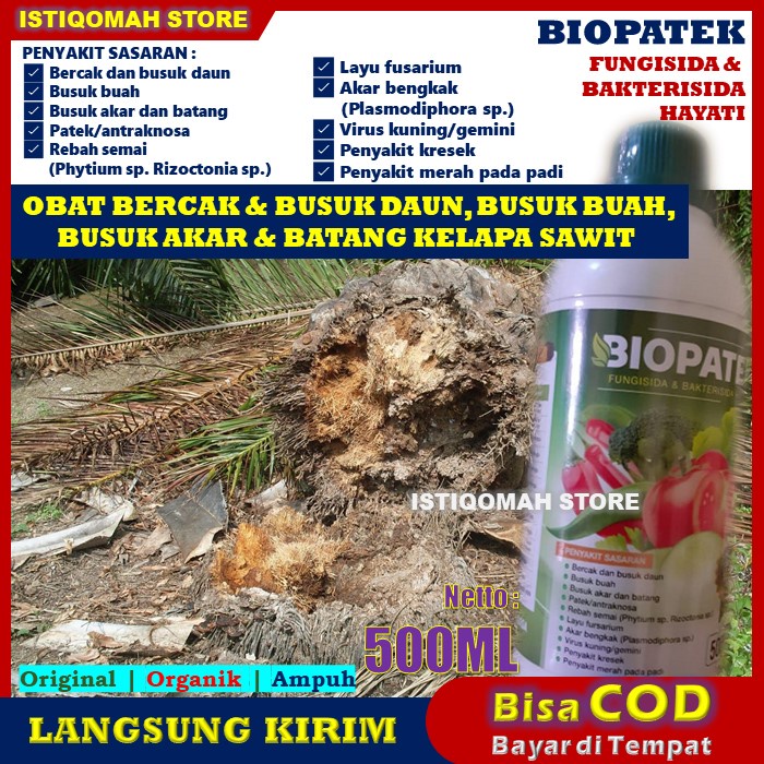 Jual OBAT BERCAK & BUSUK DAUN, BUSUK BUAH, BUSUK AKAR & BATANG KELAPA ...