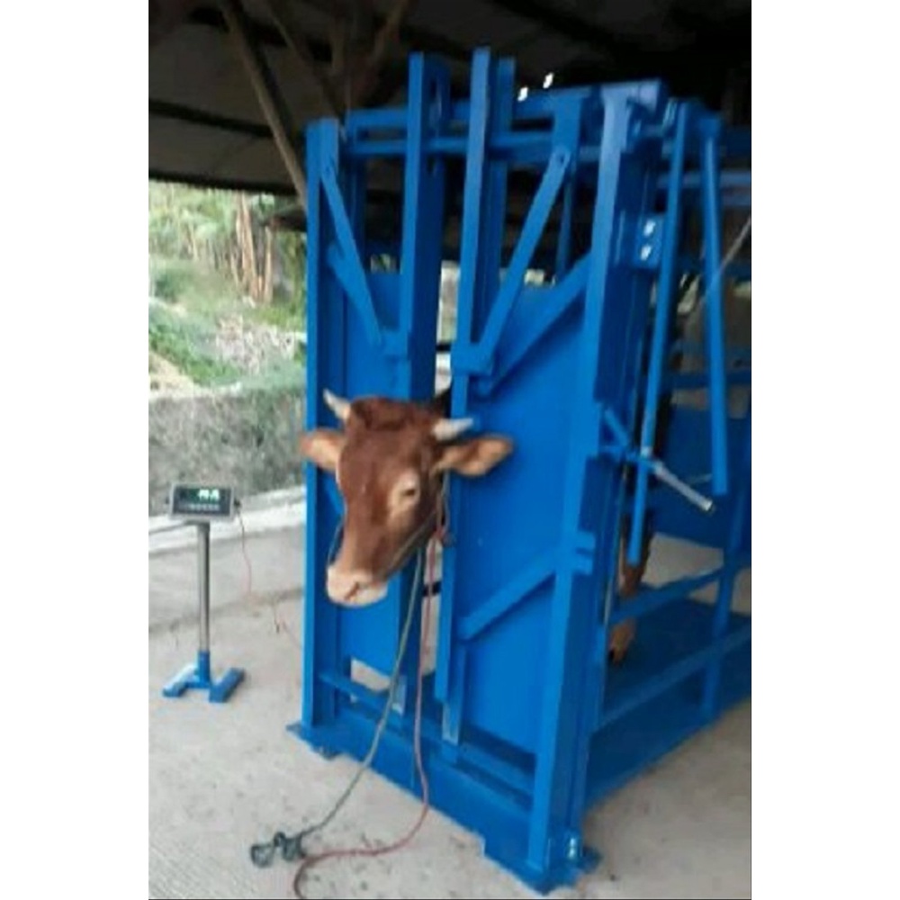 Jual Timbangan sapi digital plus Krangkeng jepit multiguna kapasitas 2 ...