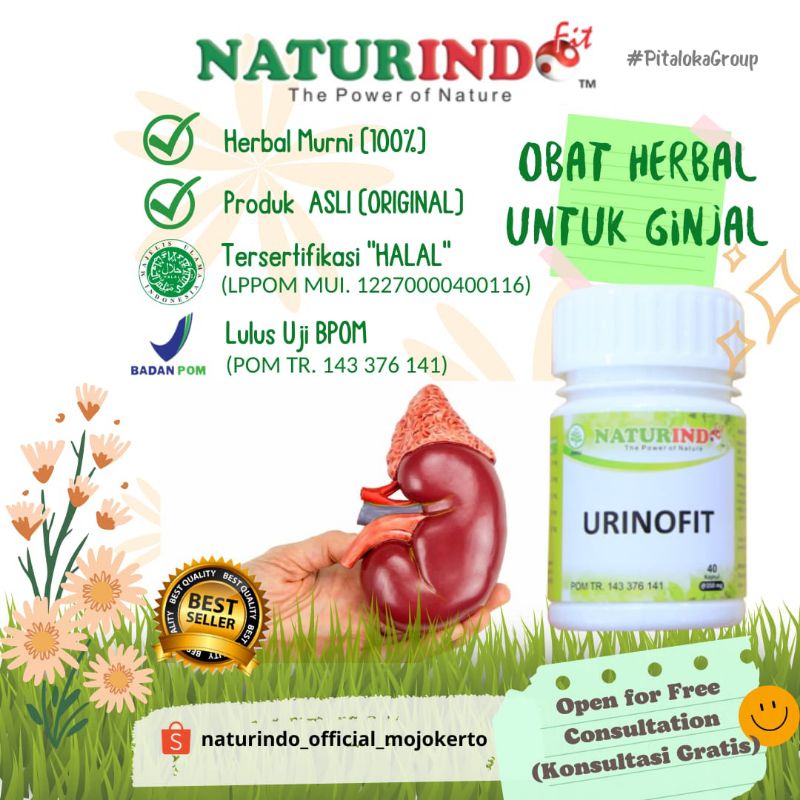 Jual Obat Herbal Untuk Gangguan Ginjal Saluran Kencing Gagal Ginjal ...