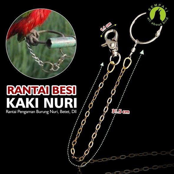 Jual RANTAI UJUNG BESI UNTUK KAKI BURUNG NURI BEO BETET HANTU DLL ...