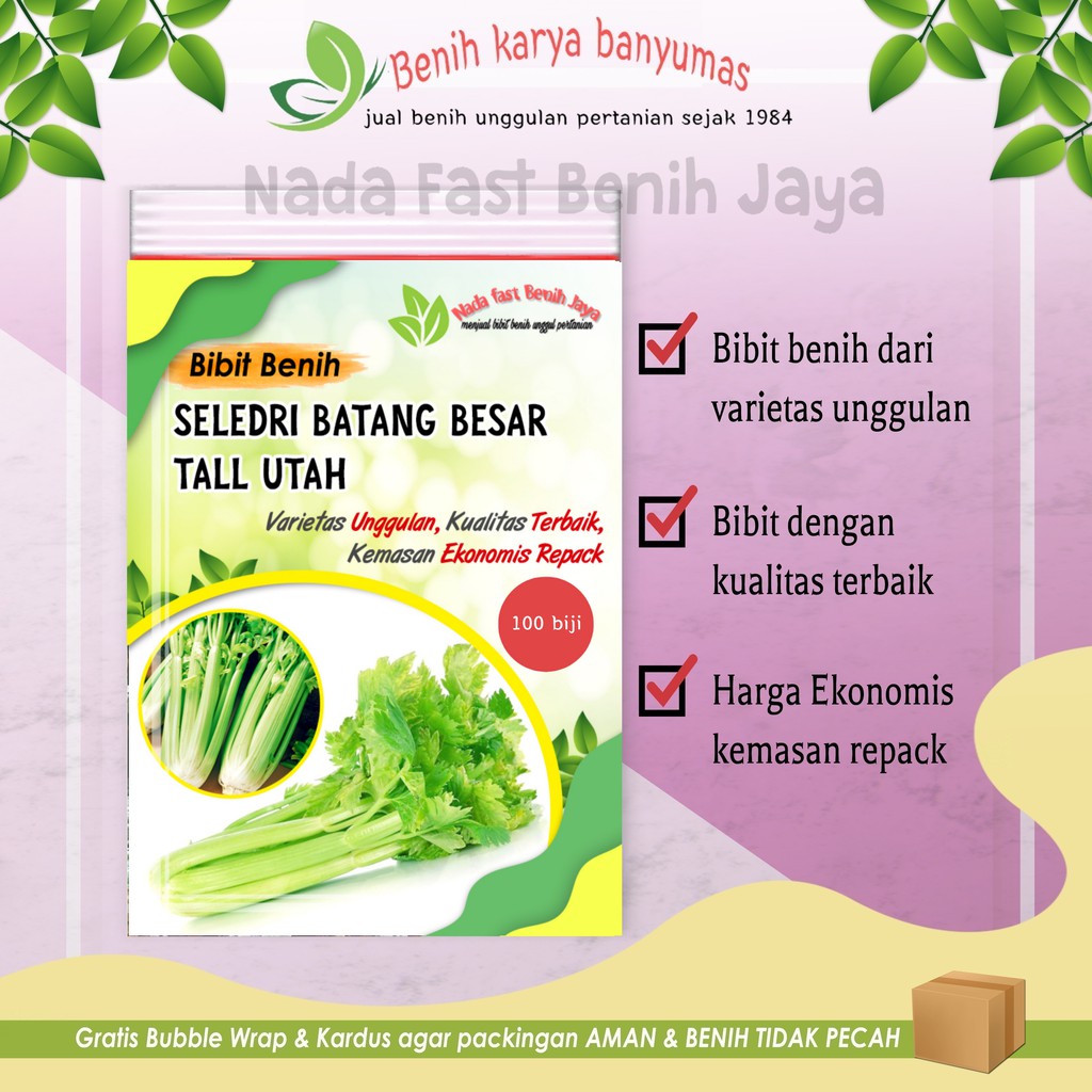 Jual 100 biji Benih Celery Tall Ultah Seledri Batang Besar reniati ...