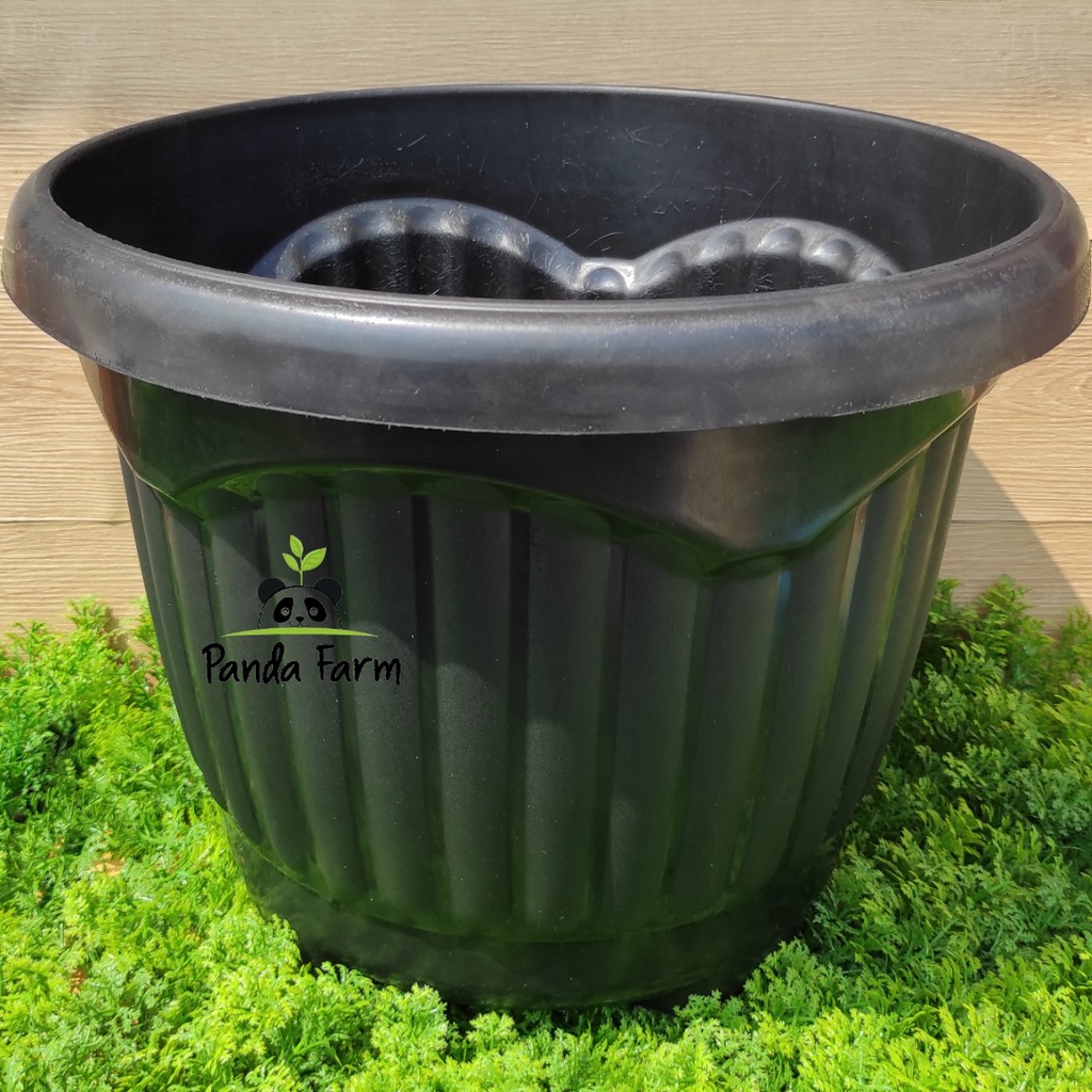 Jual Pot Bunga Tanaman Shallom Mio 30 Tebal Berkualitas -Hitam (Grab ...