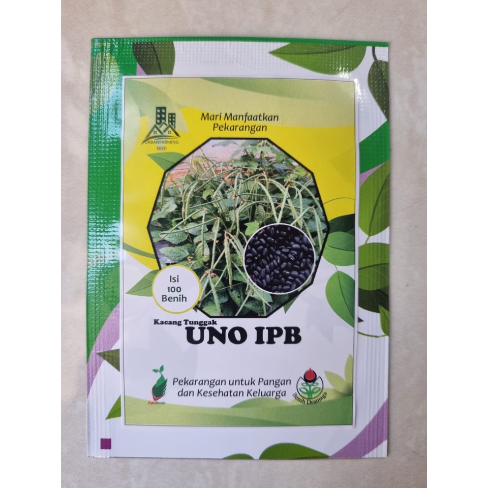 Jual Benih Kacang Tunggak Hijau Biji Hitam UNO IPB | Shopee Indonesia