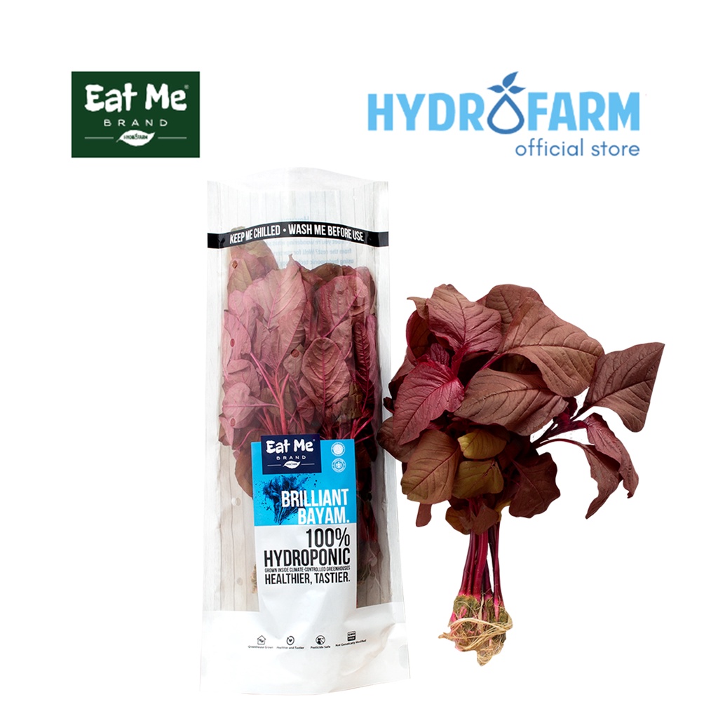 Jual Eat Me Brand - Sayur Bayam Merah Hidroponik Pack 200gr | Shopee ...