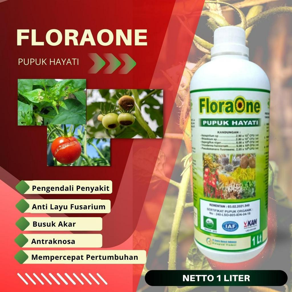 Jual Bakteri Pemacu Pertumbuhan Tanaman / Pgpr, Fungisida Hayati Cair Trichoderma Harzianum ...