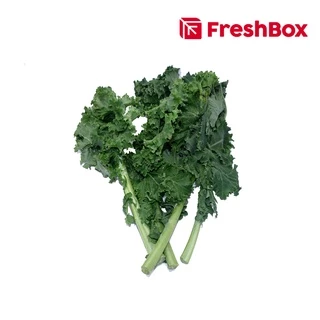 Toko Online FreshBox Official Shop | Shopee Indonesia