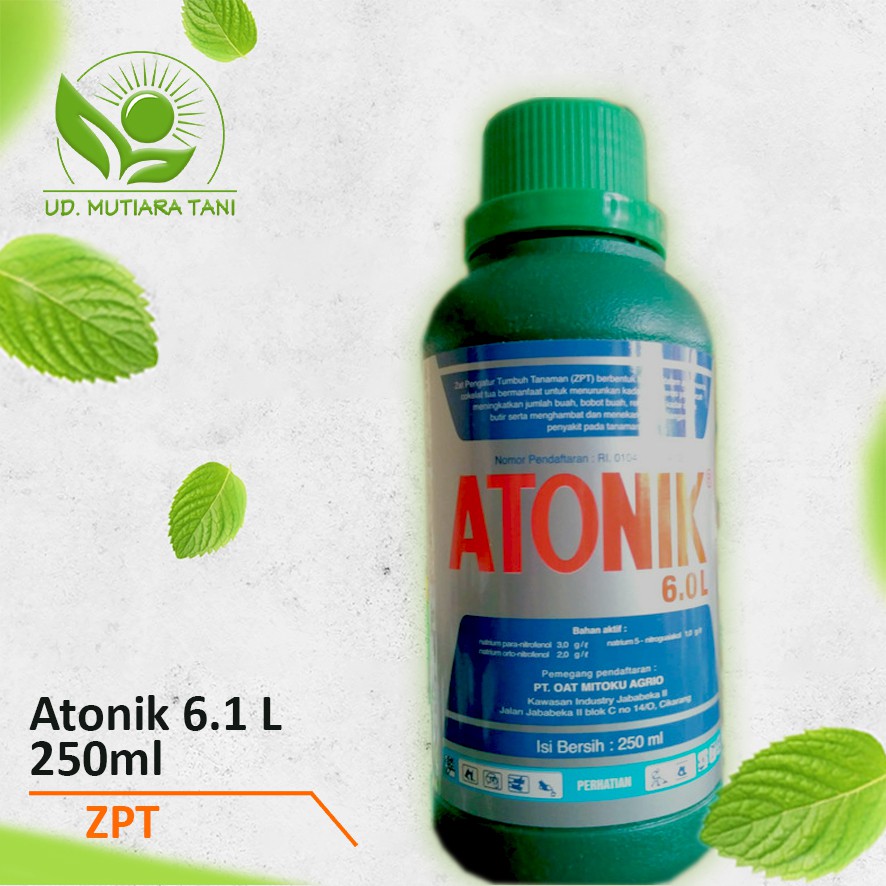 Jual ATONIK 6.0L 250ML ZPT | Shopee Indonesia