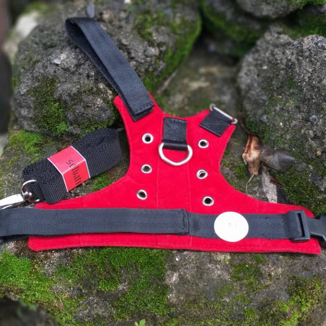 Jual Rompi harness musang dan otter keren | Shopee Indonesia