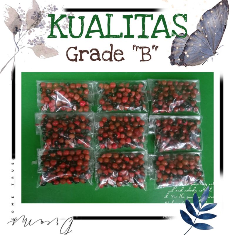 Jual BIJI SAGA / SOGOK TUNTENG / SOGO TELIK / Tanaman obat berkhasiat ...
