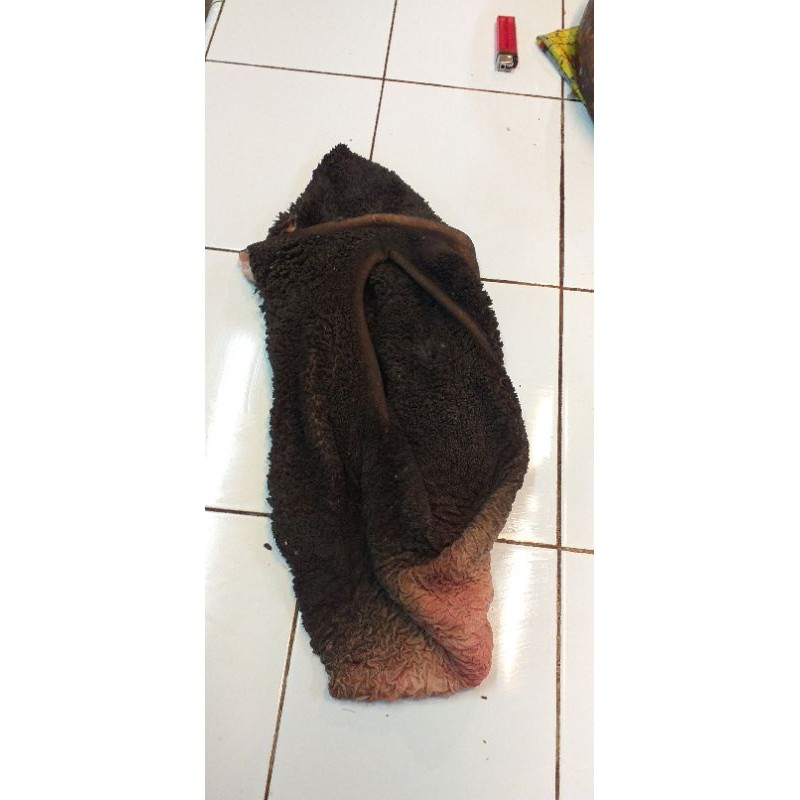 Jual Babat Sapi Segar Lokal / Babat Handuk Hitam/ Beef Tripe | Shopee ...