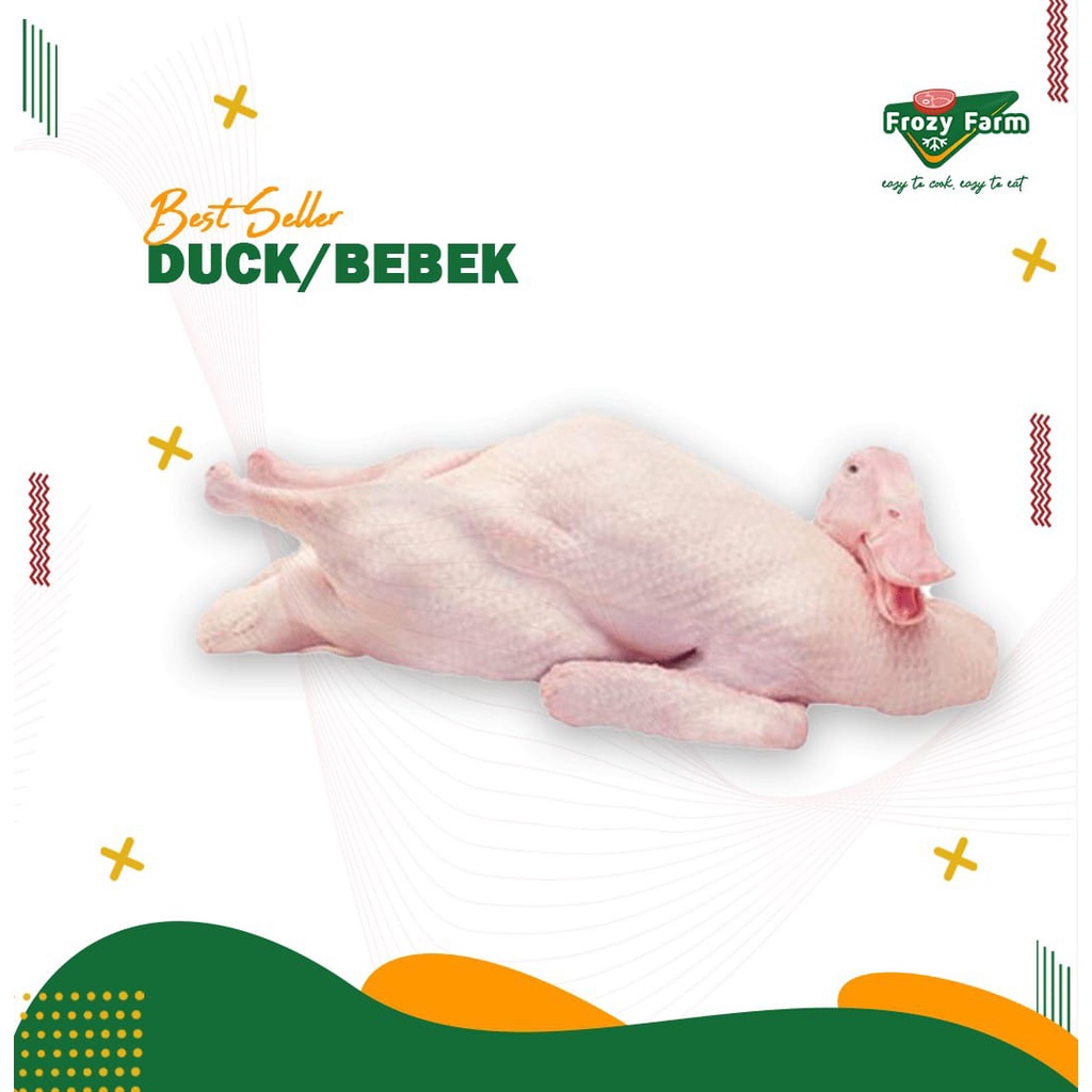 Jual DAGING BEBEK 1,1 KG PREMIUM GRADE A SUPER FROZEN FRESH SEGAR ...