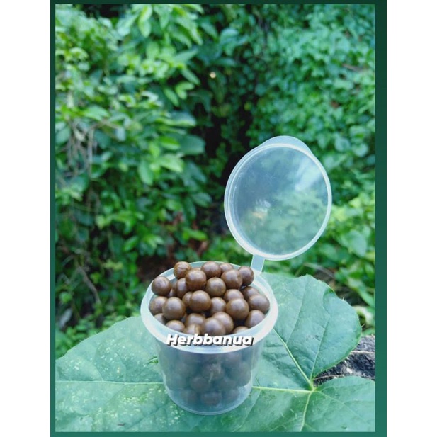 Jual JAMU PINANG MUDA ORDER 10 FREE 1 | Shopee Indonesia