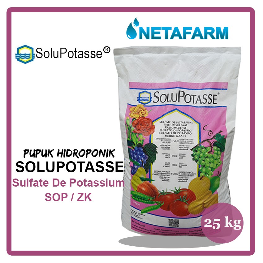 Jual Pupuk Tanaman SOP ZK Kalium Sulfat SOLUPOTASSE 25 kg | Shopee ...