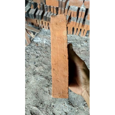 Jual bata merah jumbo | Shopee Indonesia