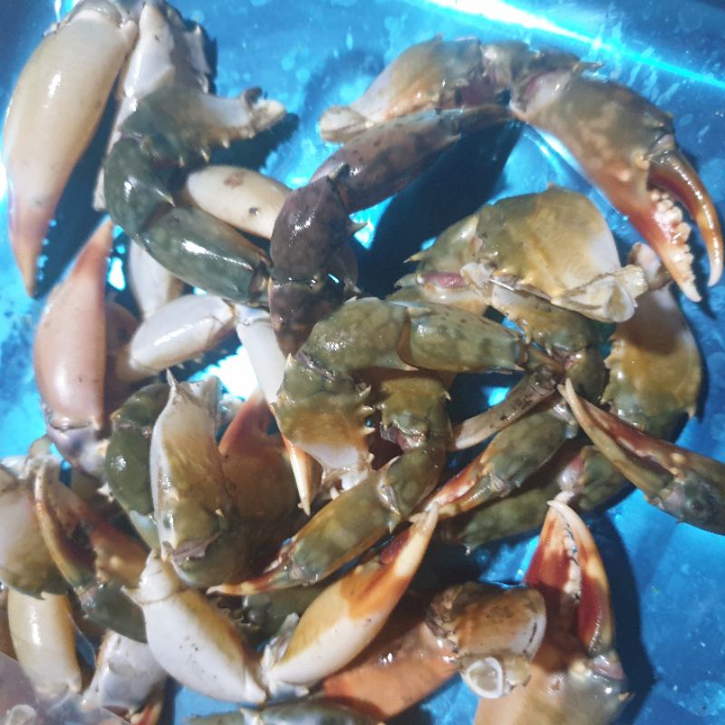 Jual capit kepiting 500gr | Shopee Indonesia