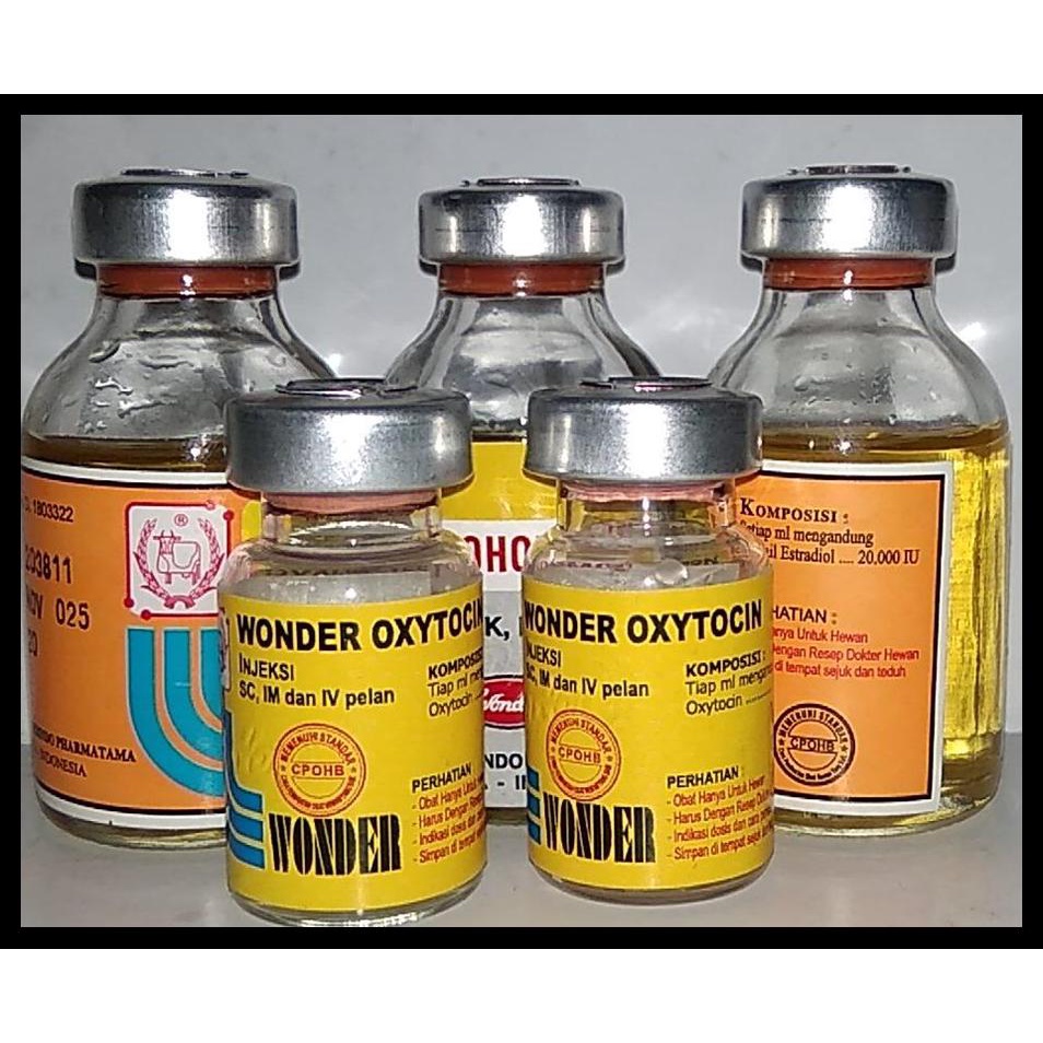 Jual OXYTOCIN INJEKSI OXYTOCIN HEWAN OXYTOCIN INJEKSI HEWAN 50ML 10ML ...