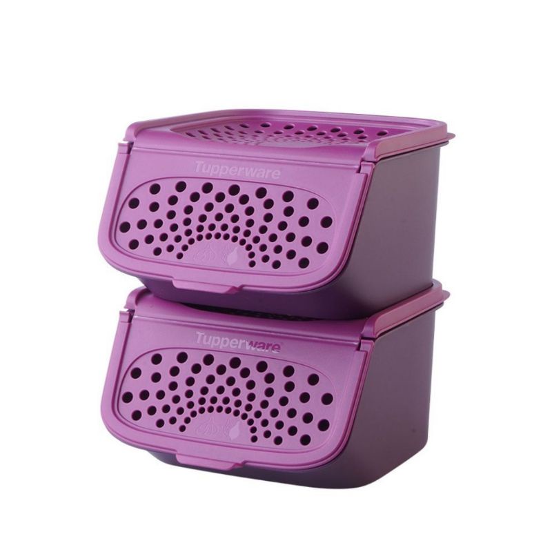 Jual Original Access mate 2.3L (1picis) | Shopee Indonesia