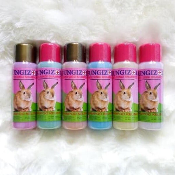 Jual Fungizol Rabbit 125ml Fungizole Shampoo Sampo Anti Fungi Jamur ...