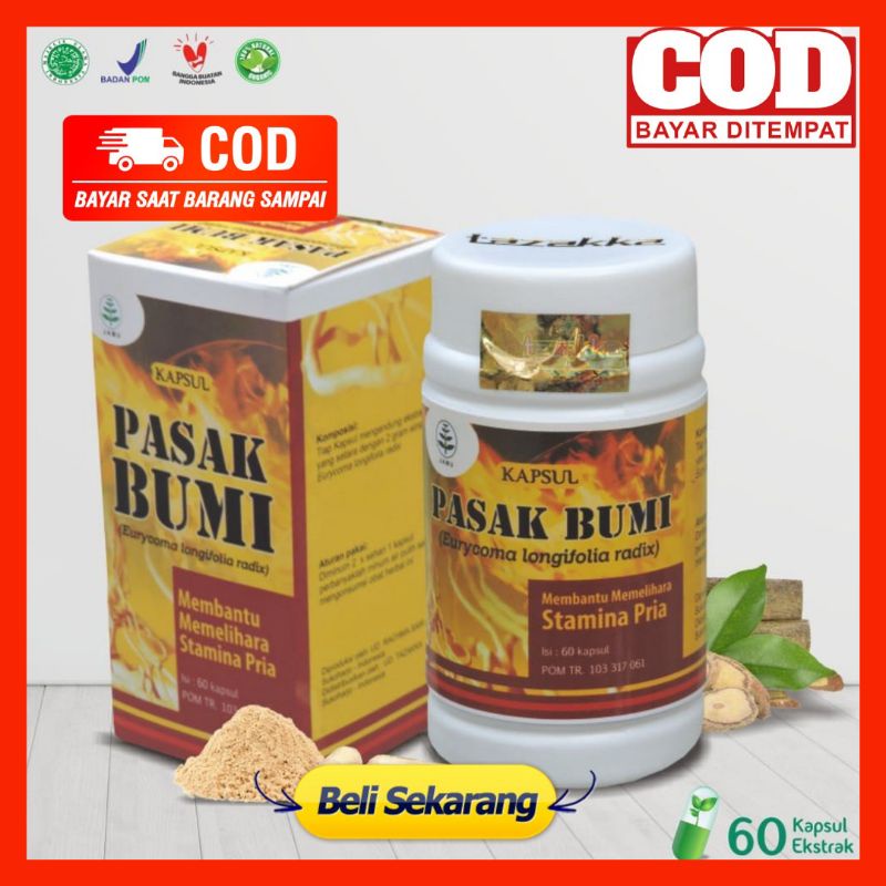 Jual PASAK BUMI Tazakka Isi 60 - Pasakbumi Herbal Stamina Pria Tazakka Plus Purwoceng Purwaceng ...