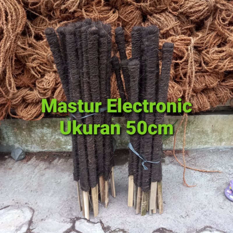 Jual TURUS IJUK 50cm 50 CM PENYANGGA TANAMAN RAMBATAN | Shopee Indonesia