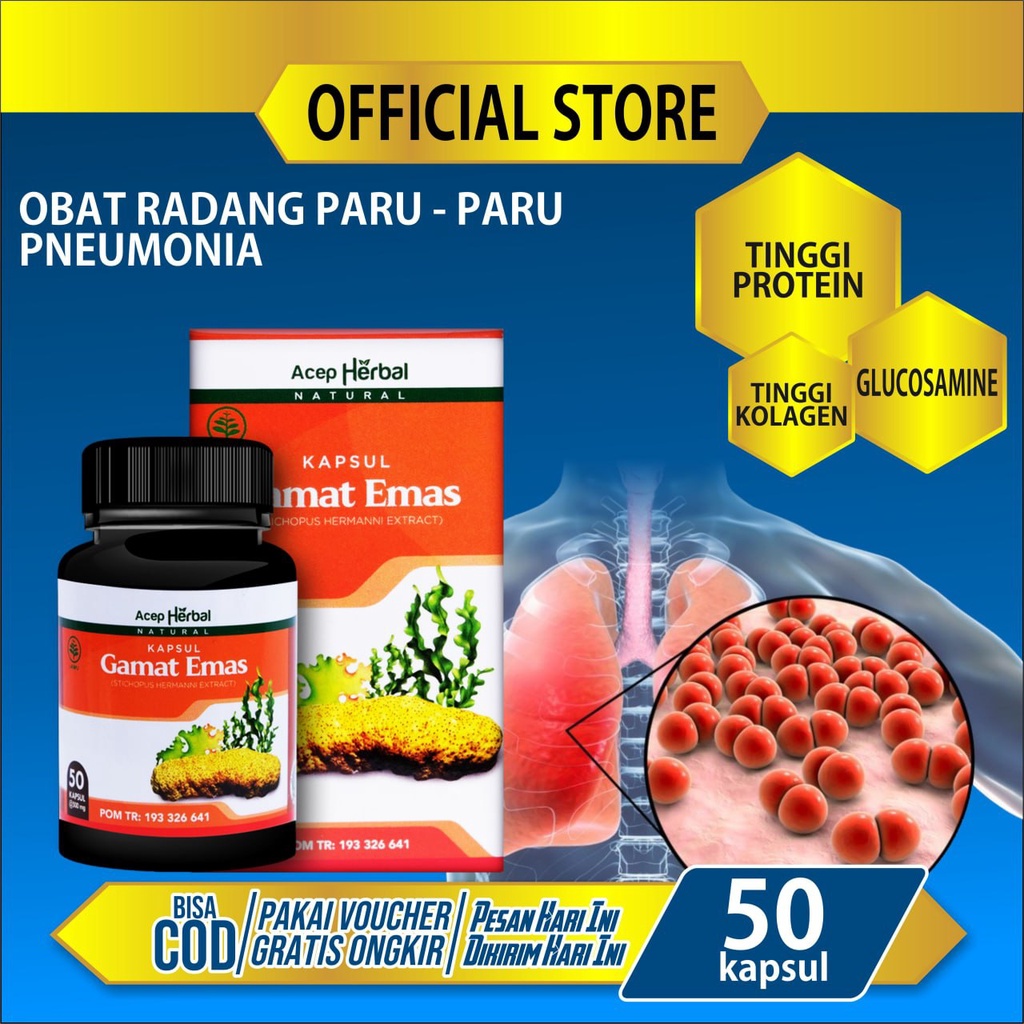 Jual Obat Radang Paru - Paru Pneumonia Infeksi Paru - Paru Abses Paru ...