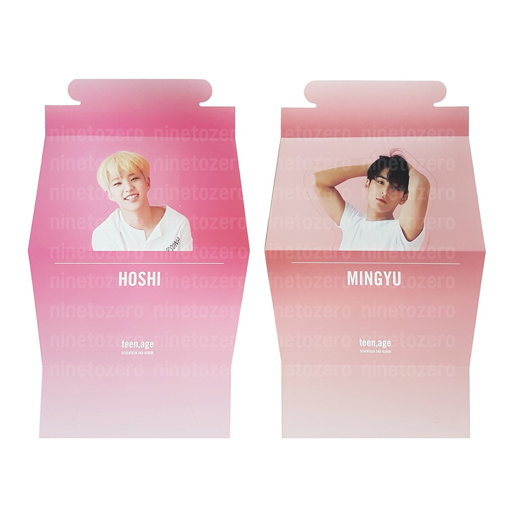 Jual SEVENTEEN TEEN, AGE PORTRAIT DESKTOP STAND / STANDEE HOSHI MINGYU ...