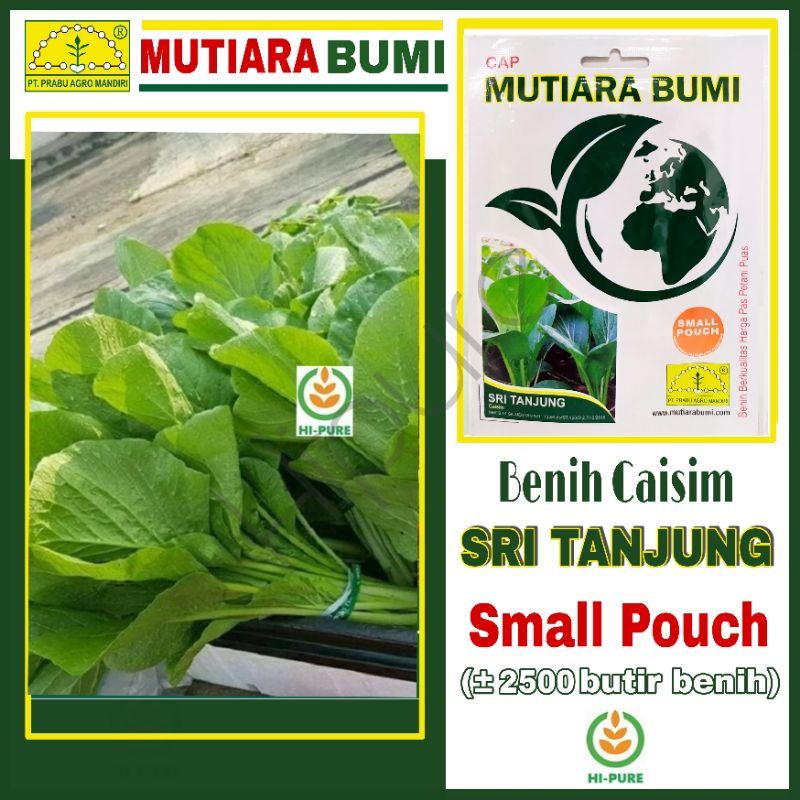 Jual BENIH CAISIM HIJAU SRI TANJUNG ISI 2500-AN BUTIR ORIGINAL PACKING ...