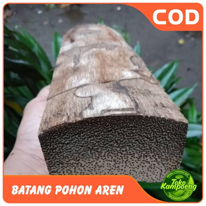 Jual Belahan Kayu Ruyung atau batang kayu pohon aren kuat - 10cm ...
