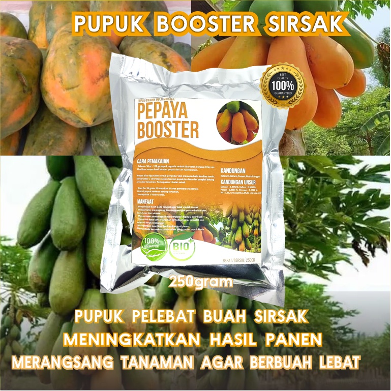 Jual Pupuk Pelebat Pepaya Organik Booster dan Perangsang Pepaya Agar Cepat Berbuah Lebat Bunga ...