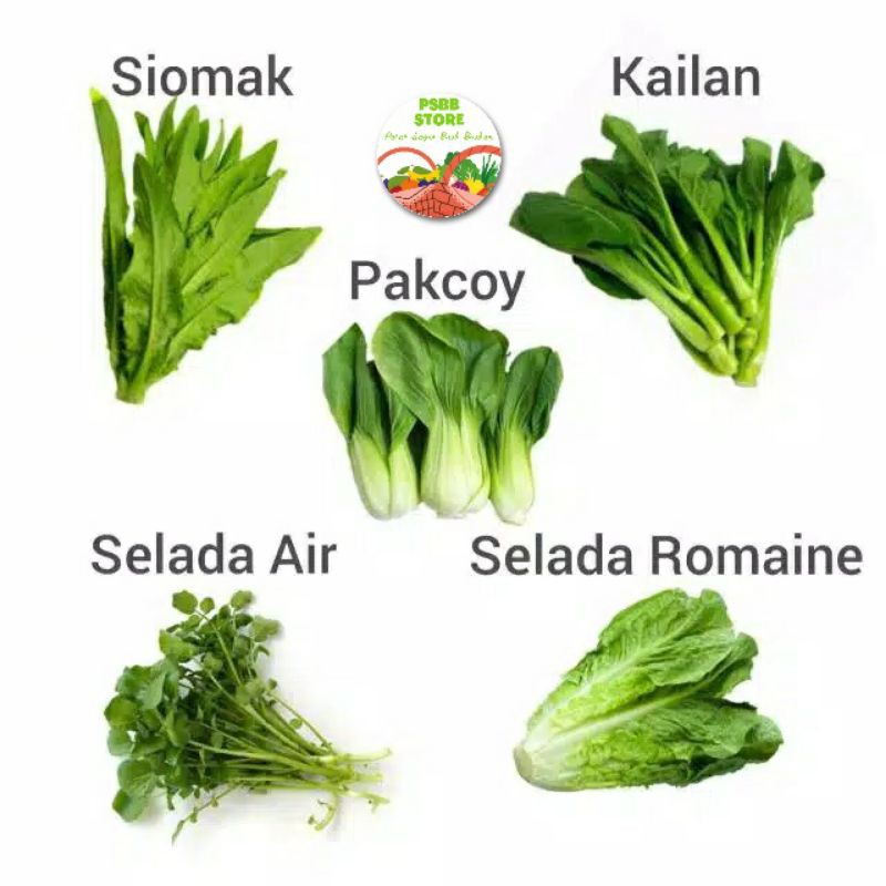 Jual PASAR GUBENG - Sayur Segar - Selada Air / Selada Romaine / Siomak ...
