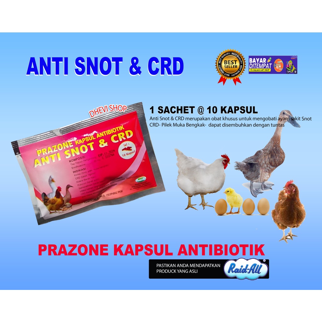 Jual 10 KAPSUL ANTI SNOT & CRD PRAZONE KAPSUL ANTIBIOTIK OBAT AYAM ...