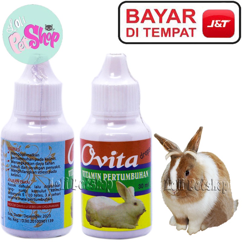 Jual VITAMIN PERTUMBUHAN KELINCI OBAT PENAMBAH NAFSU MAKAN RABBIT OVITA ...