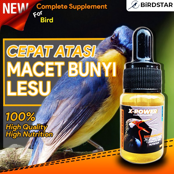 Jual PIOONERVET - PROMO X-POWER OBAT VITAMIN BURUNG LOVEBIRD KENARI ...