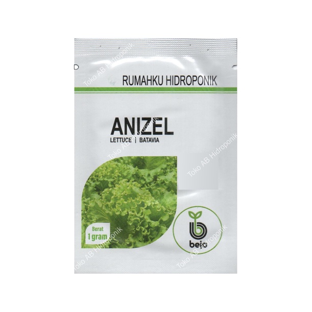 Jual Benih Selada Batavia Anizel Bejo Seed Isi 1 Gram Lettuce 1 Gr ...
