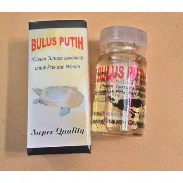 Jual Minyak bulus putih kemasan dus | Shopee Indonesia