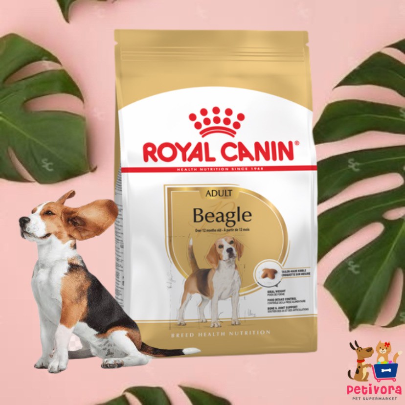 Jual Royal Canin Beagle Adult 3Kg | Shopee Indonesia