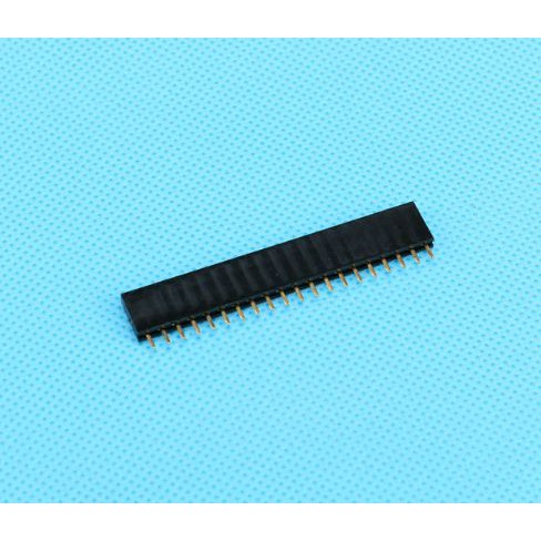 Jual Female pin header strip 1x20 pin p 1x20p 20p 20pin single row 2 ...