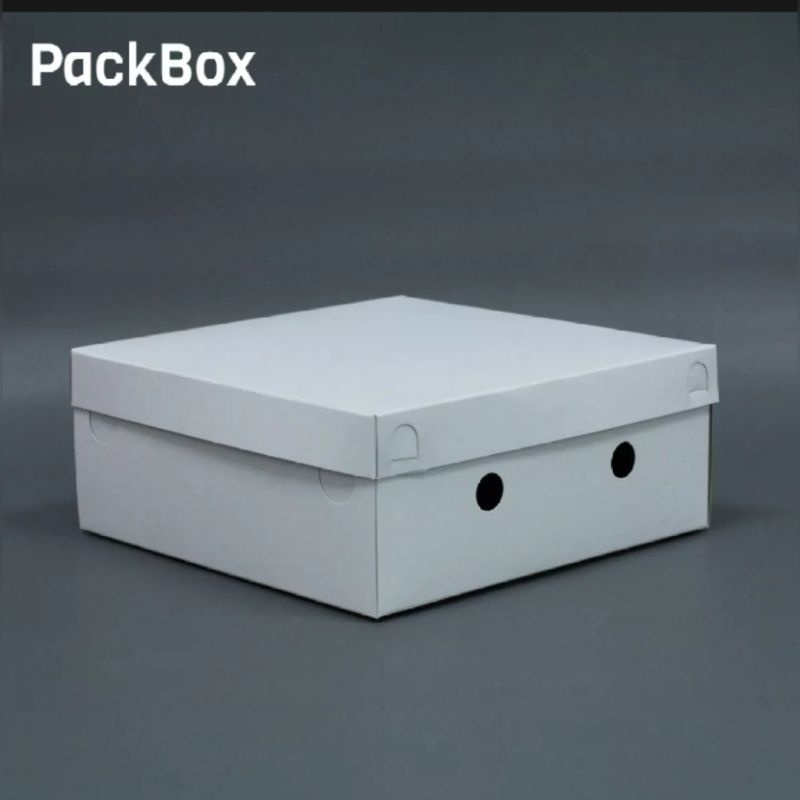 Jual Kotak Nasi Polos Putih Box Nasi Duplex (1set) | Shopee Indonesia