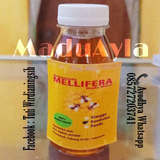 Jual Madu Murni Asli Lebah Madu Mellifera 80 ml | Shopee Indonesia